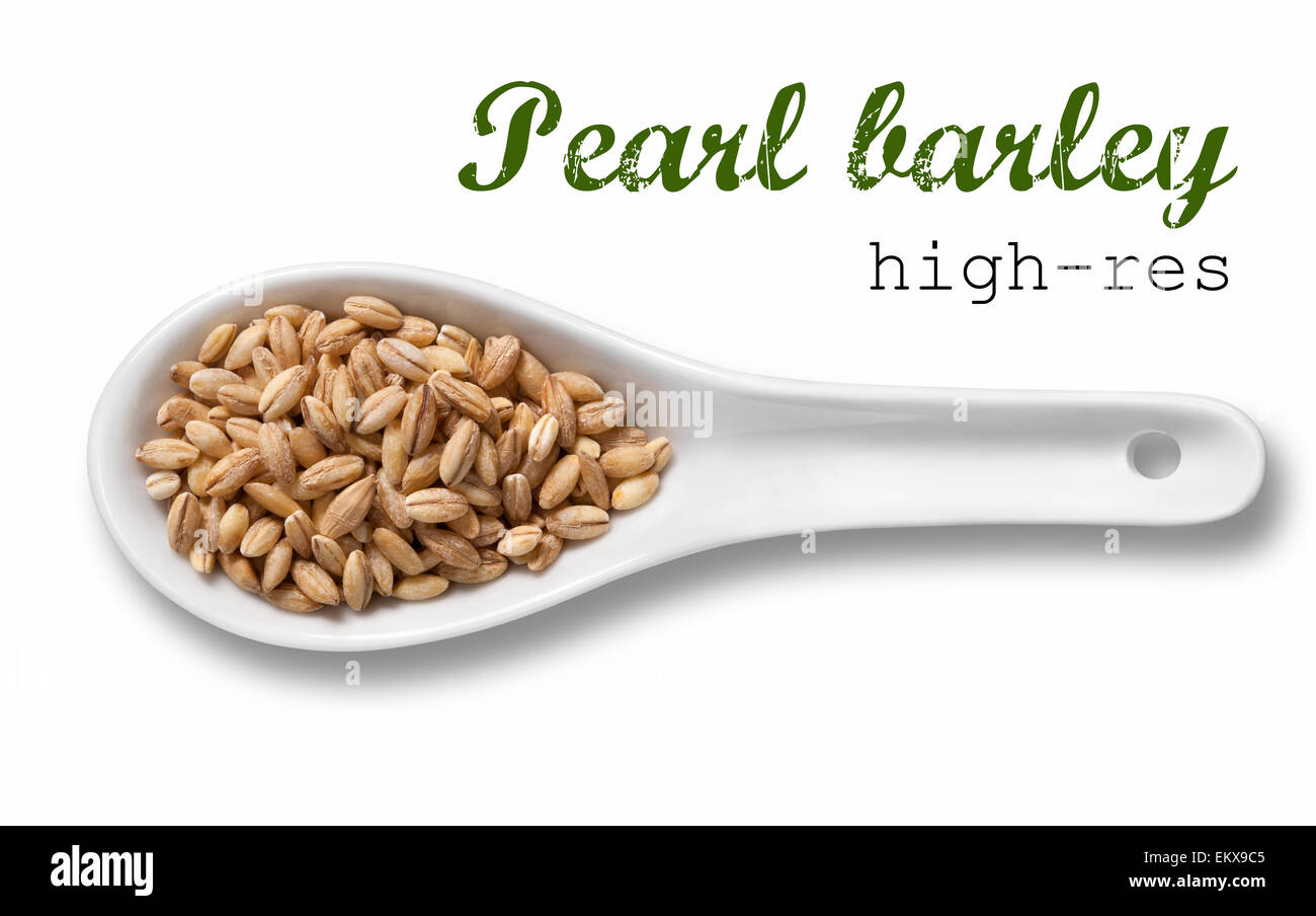 Pearl barley in white porcelain spoon / high resolution product photography of seed in white ...