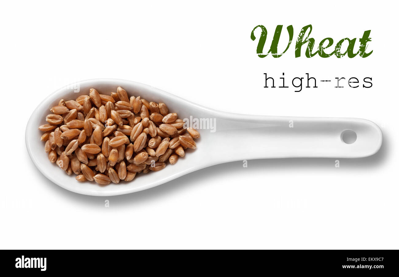Wheat in white porcelain spoon / high resolution product photography of seed in white porcelain ...