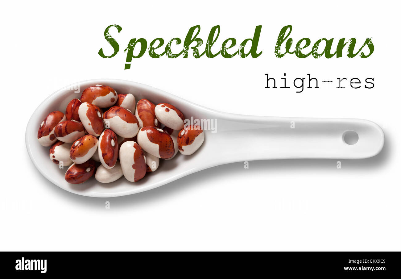 Speckled beans in white porcelain spoon / high resolution product photography of seed in white ...