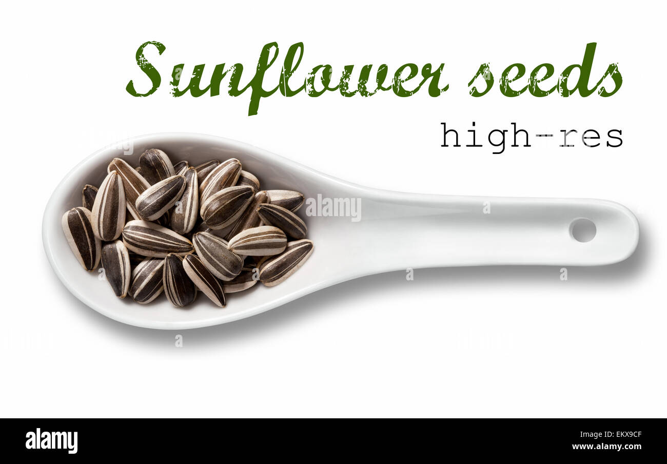 Sunflower seeds in white porcelain spoon / high resolution product photography of seed in white ...