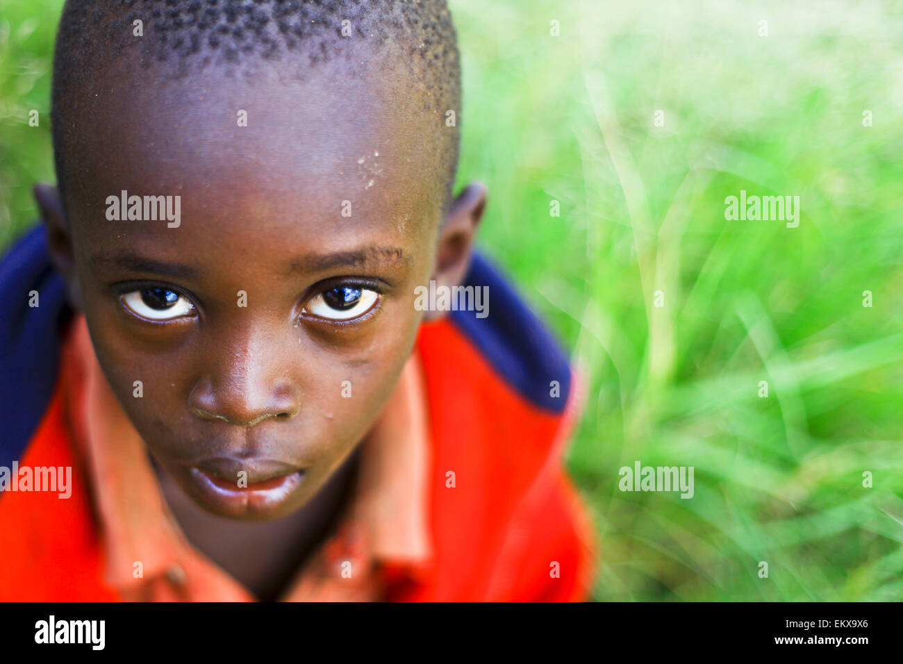 Portrait Of A Boy; Kampala Uganda Africa Stock Photo - Alamy