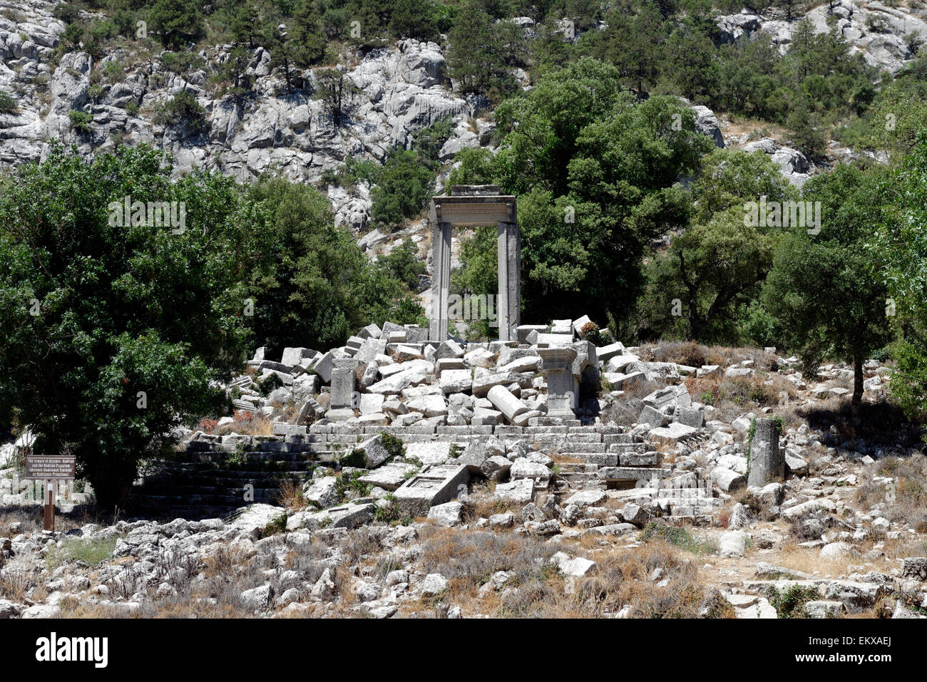 View of the Propylon and Temple of Artemis and Hadrian with its ...