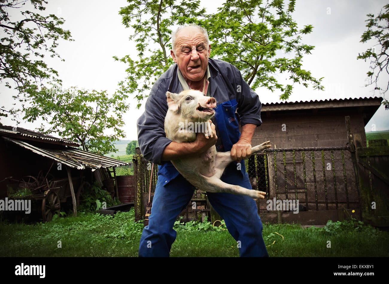 Man and his pig Stock Photo - Alamy