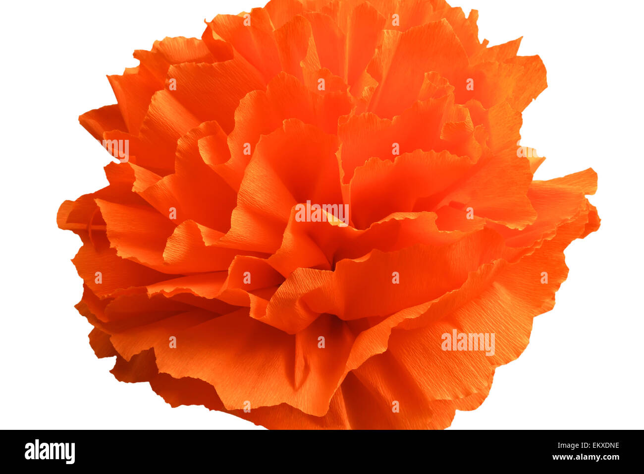 Peper flower hi-res stock photography and images - Alamy