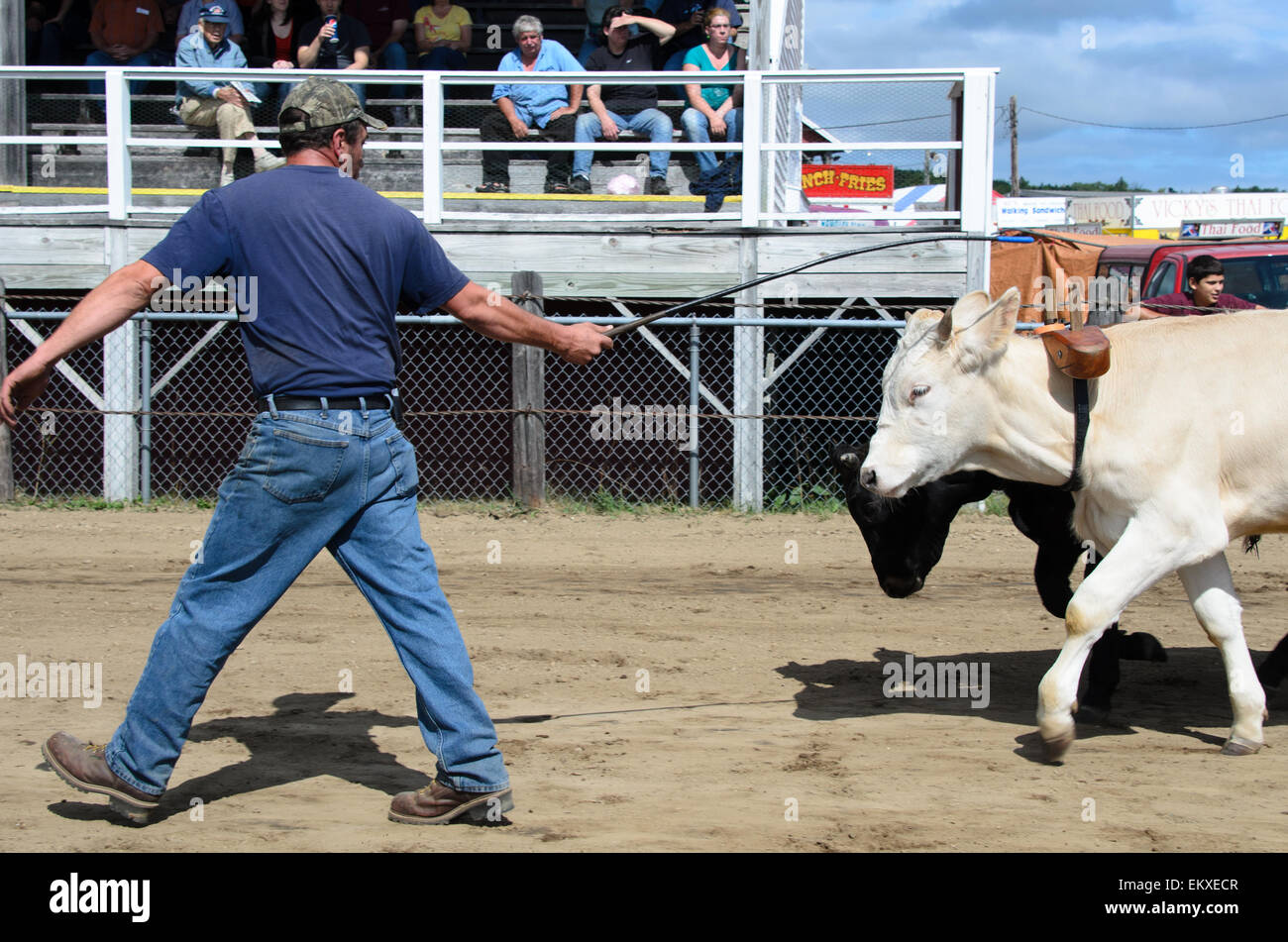 Ox goad hi-res stock photography and images - Alamy