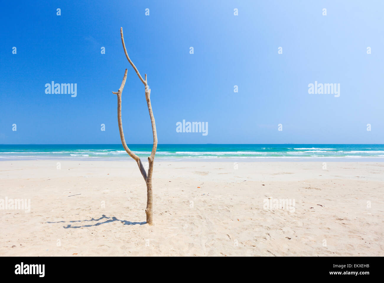Dead tree island hi-res stock photography and images - Alamy