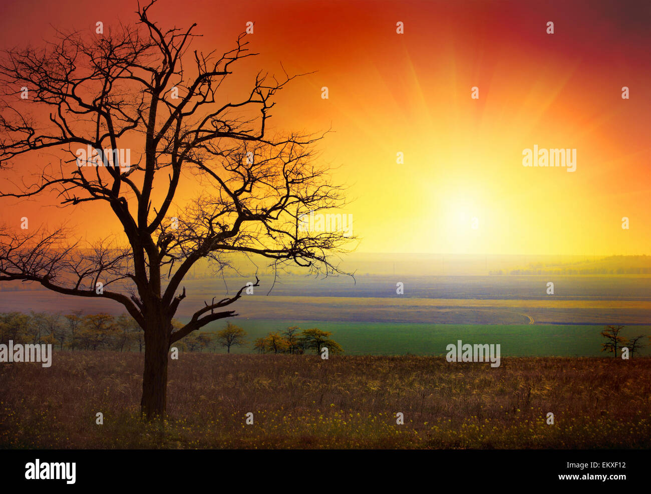 beautiful landscape and sunrise Stock Photo - Alamy