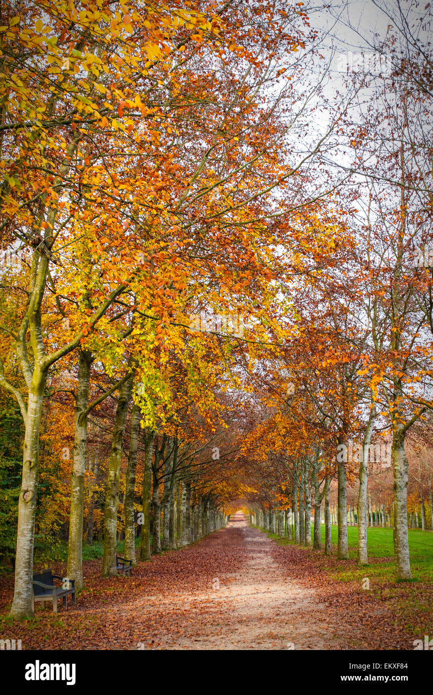Versailles park in autumn hi-res stock photography and images - Alamy