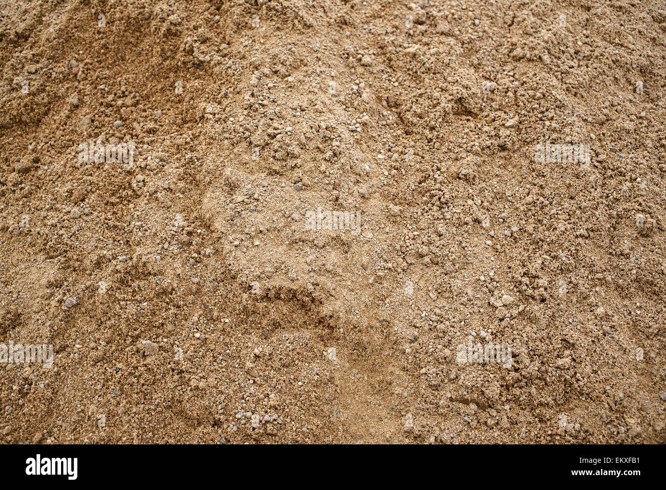 Sand texture closeup. Coarse sand grains background Stock Photo - Alamy