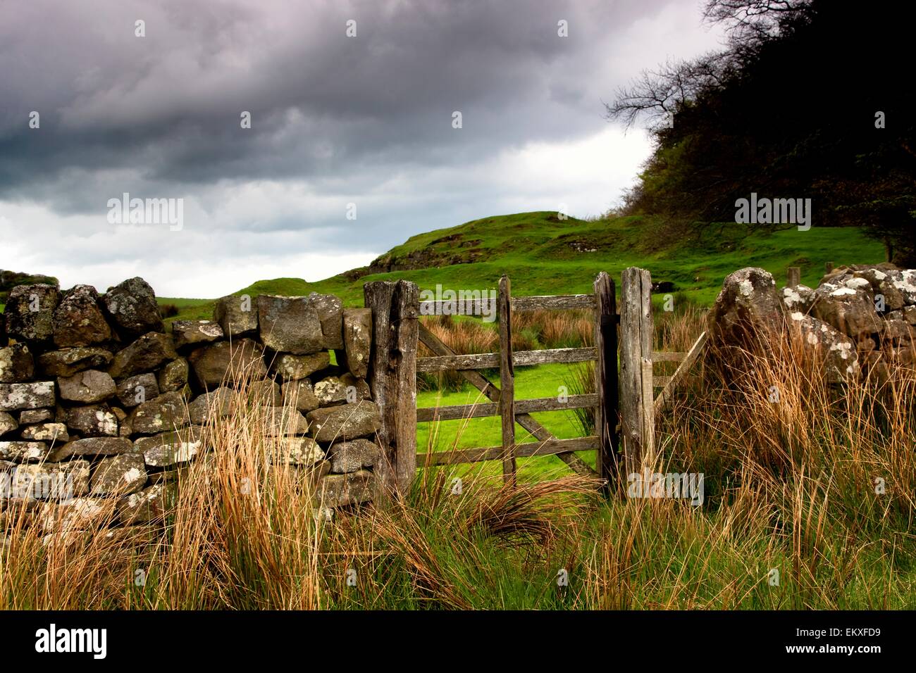 Rustic Fence; Northumberland, England Stock Photo - Alamy