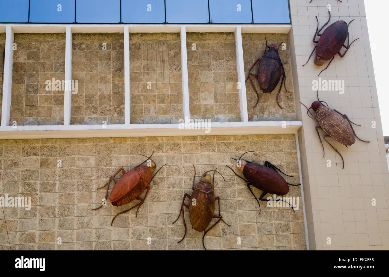 Cockroach Sculpture