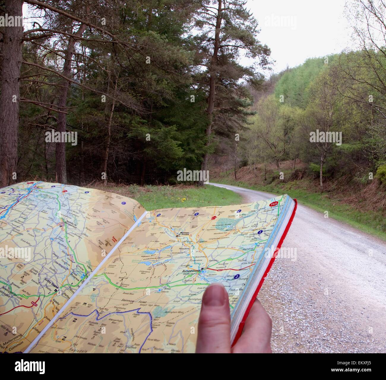 Checking tourist maps hi-res stock photography and images - Alamy