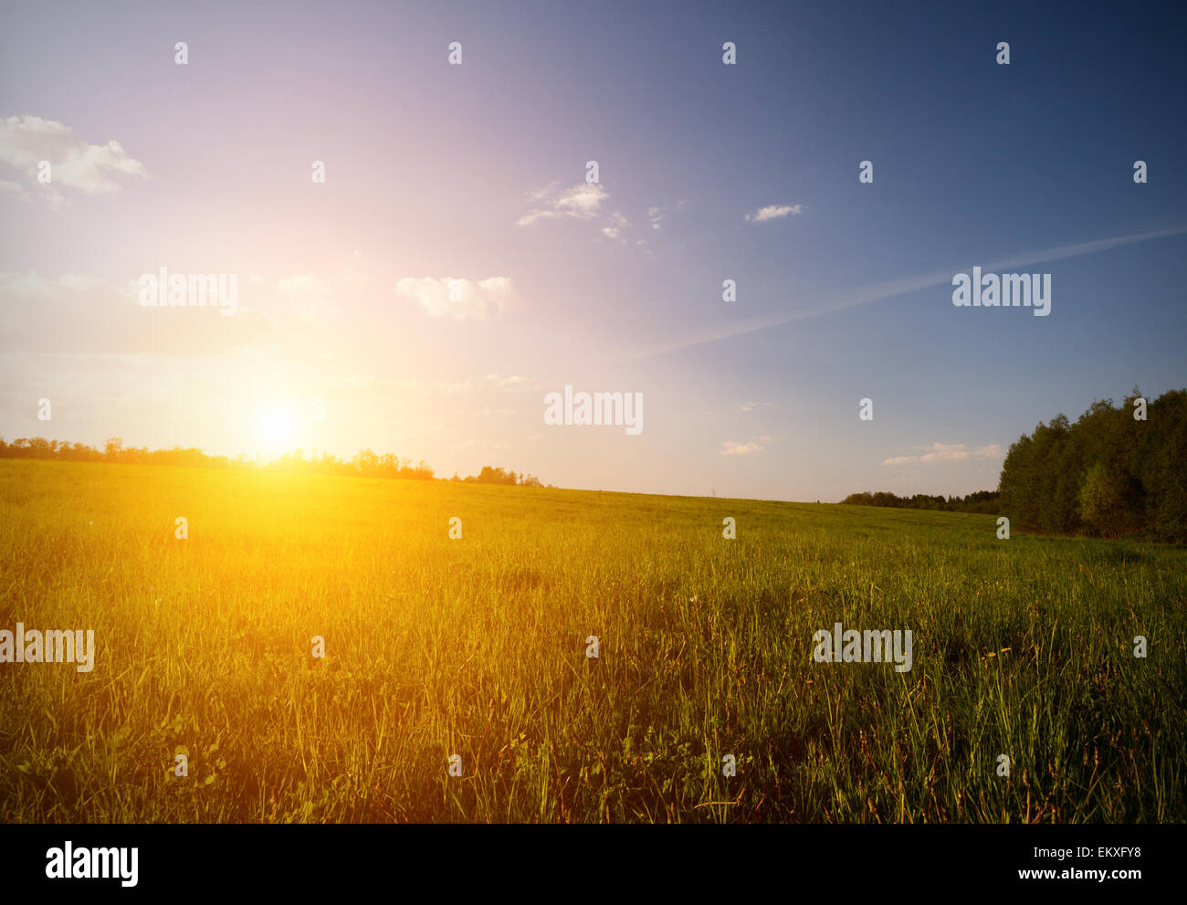 green field and beautiful sunset Stock Photo - Alamy