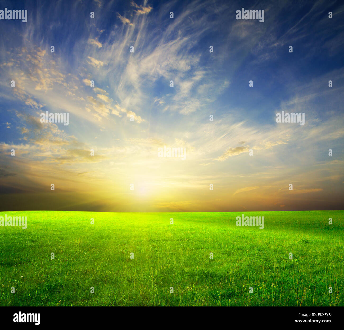green field and beautiful sunset Stock Photo - Alamy