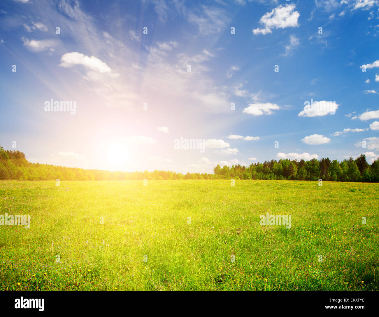 green field and beautiful sunset Stock Photo - Alamy
