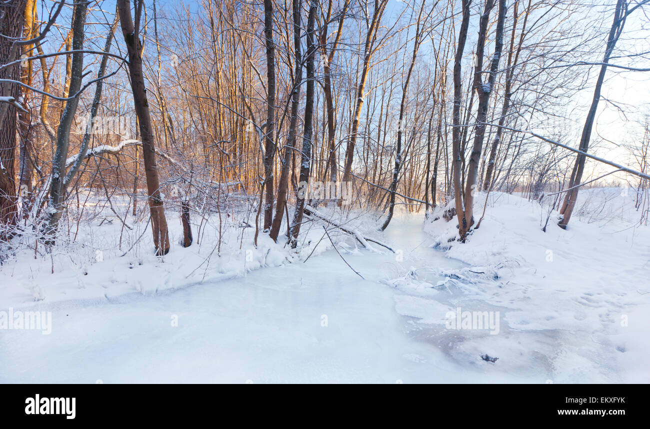 Frozen paradise hi-res stock photography and images - Alamy