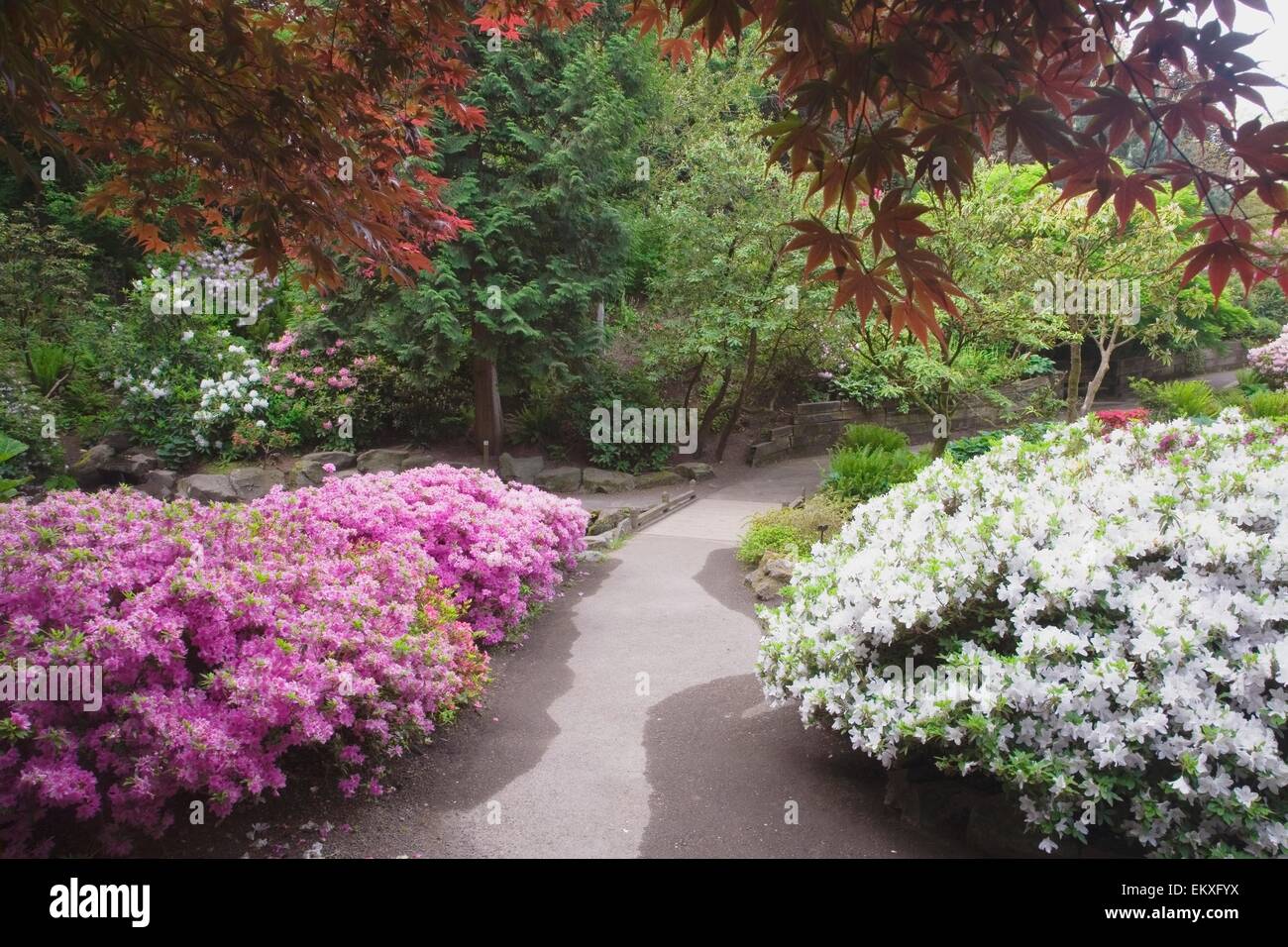 Path Through Flowering Gardens Stock Photo - Alamy