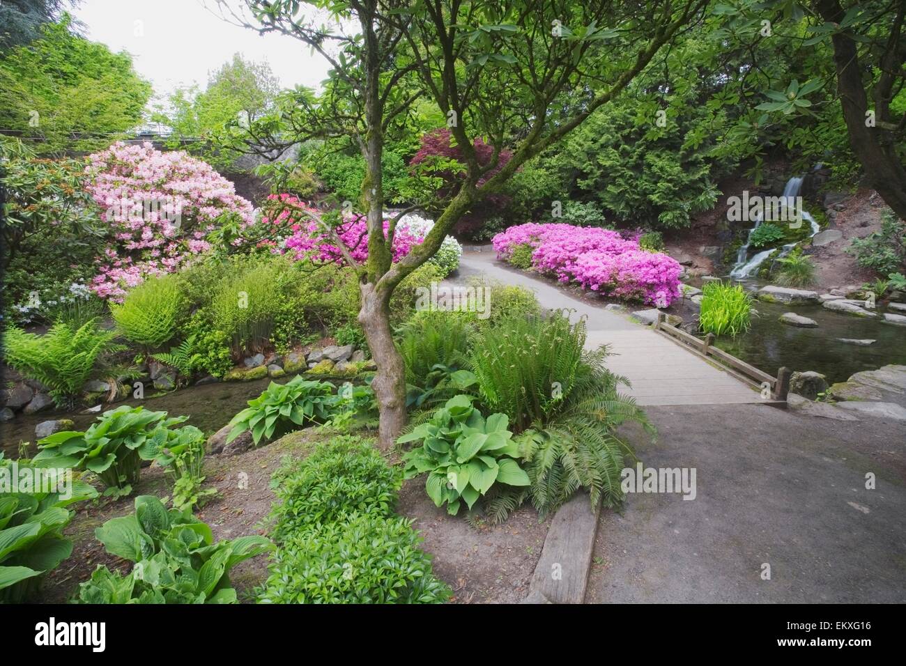 Pathway Through Garden Stock Photo - Alamy