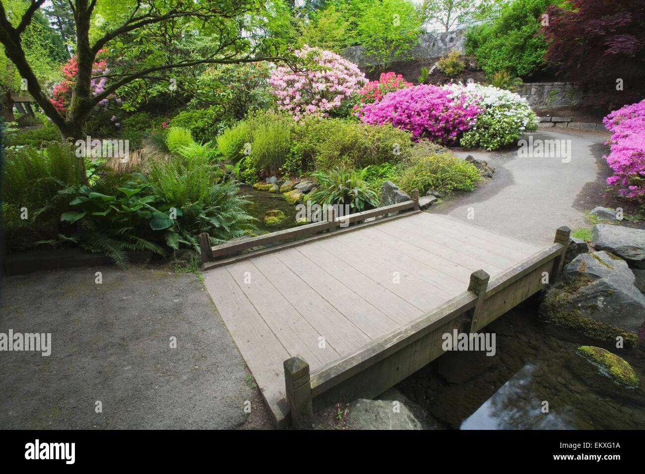 Small Bridge Through Park Stock Photo - Alamy