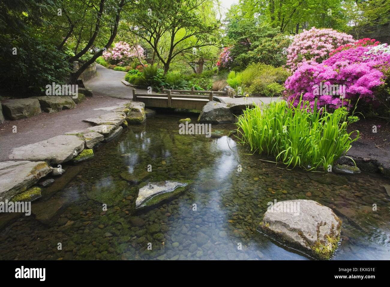 Serene Pond In Park Stock Photo - Alamy