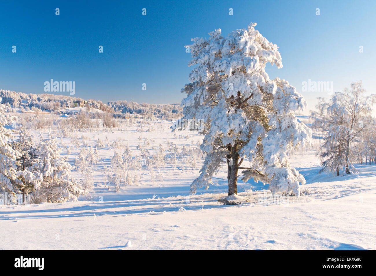 Winter park snow in hi-res stock photography and images - Alamy
