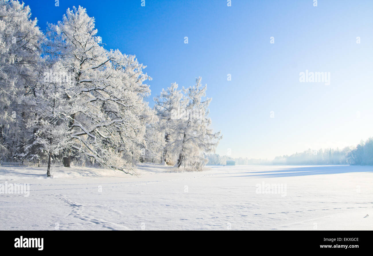 Winter park in snow Stock Photo - Alamy