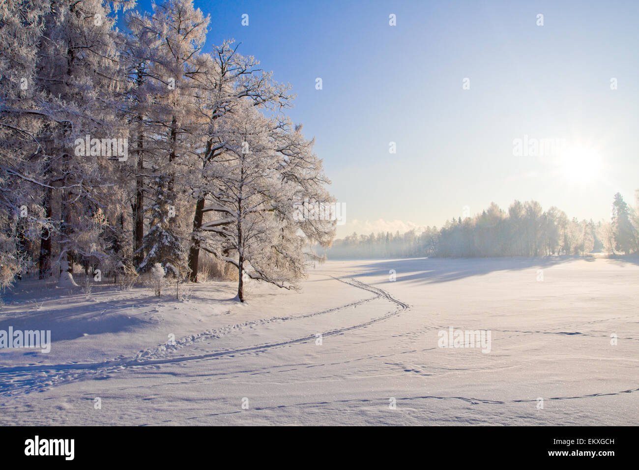 Winter park in snow Stock Photo - Alamy