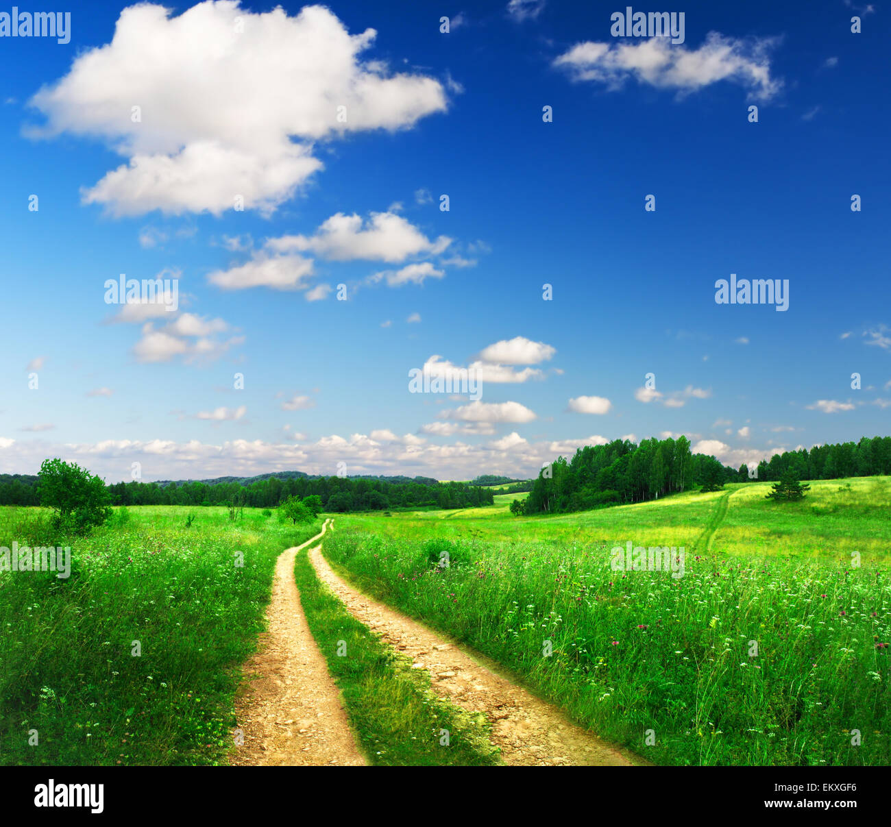 beautiful summer landscape Stock Photo - Alamy