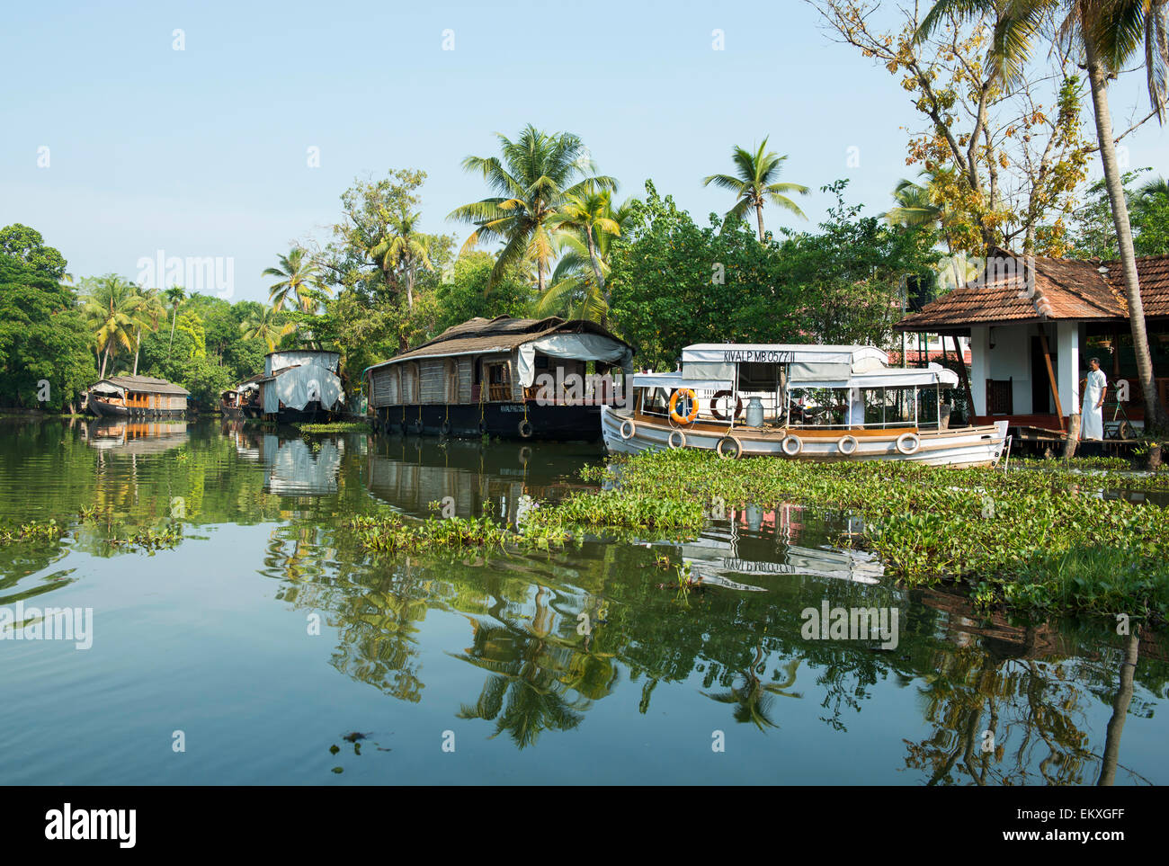 The Backwaters at Kumarakom, Kerala India Stock Photo - Alamy