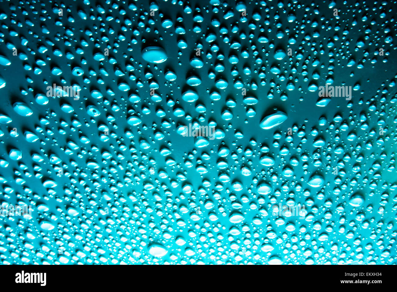 Drops of water on white hi-res stock photography and images - Alamy