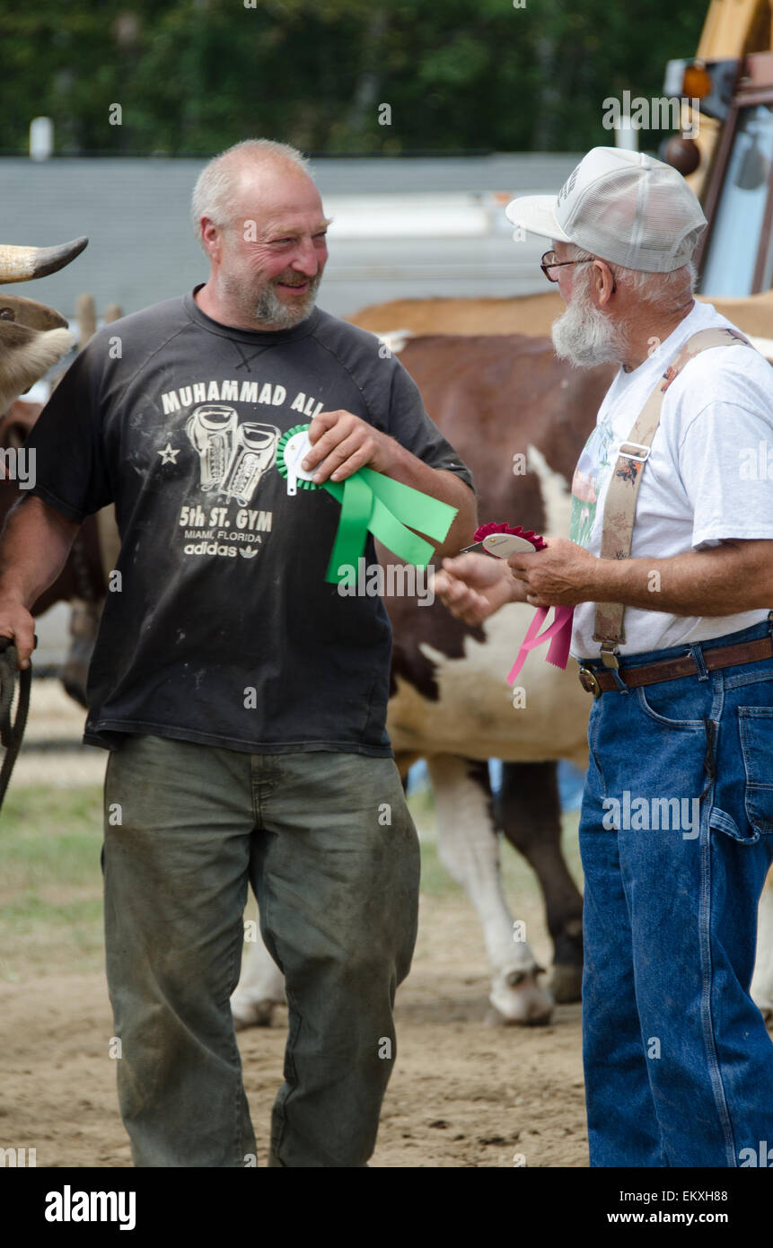 Judge presenting a prize ribbon to the winning farmer in the Four-Ox ...