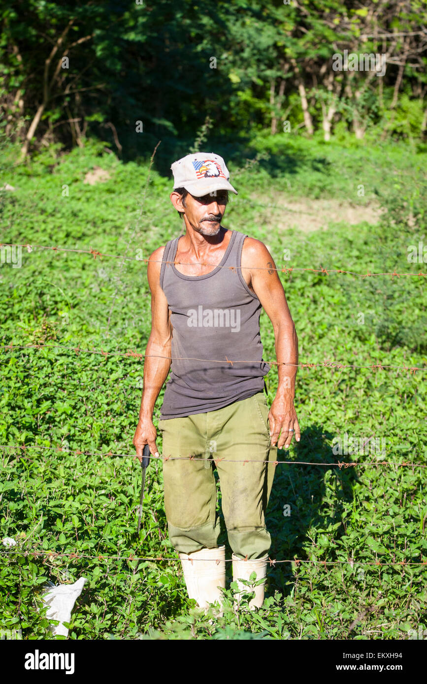 El cubano natural park hi-res stock photography and images - Alamy