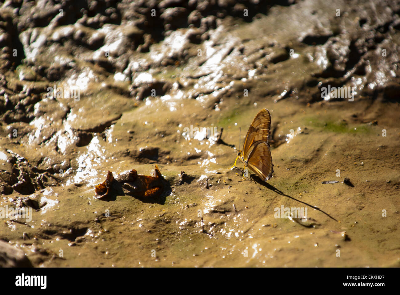 Cuba Trinidad Gran Parque Natural Topes de Collantes , El Cubano ...