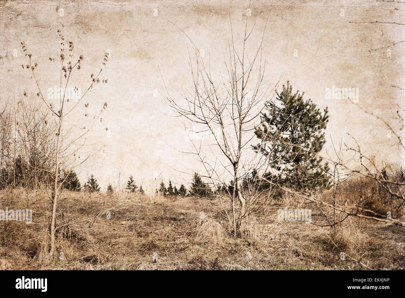 Artwork in retro style, trees Stock Photo - Alamy