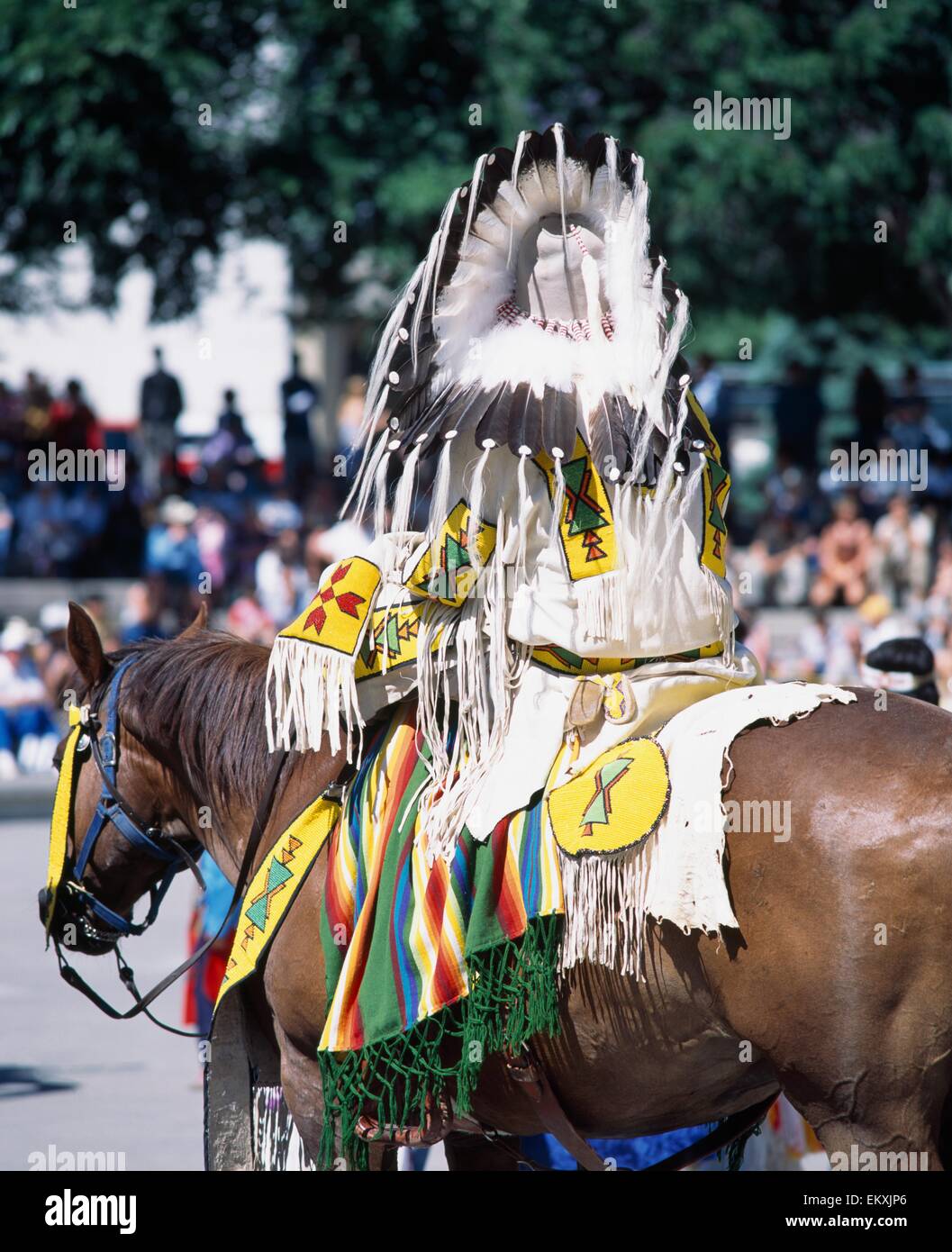 Native american indian man back hi-res stock photography and images - Alamy
