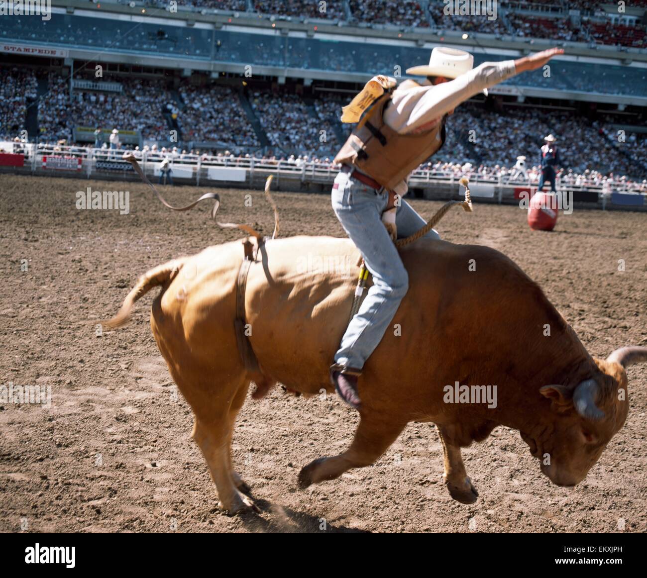 Bull rider calgary stampede calgary hi-res stock photography and images ...