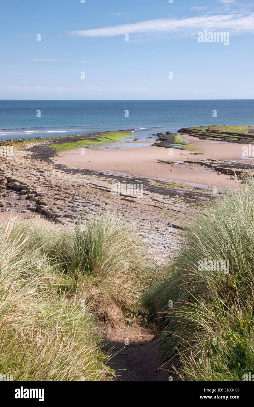 Shore Along The Ocean Stock Photo - Alamy