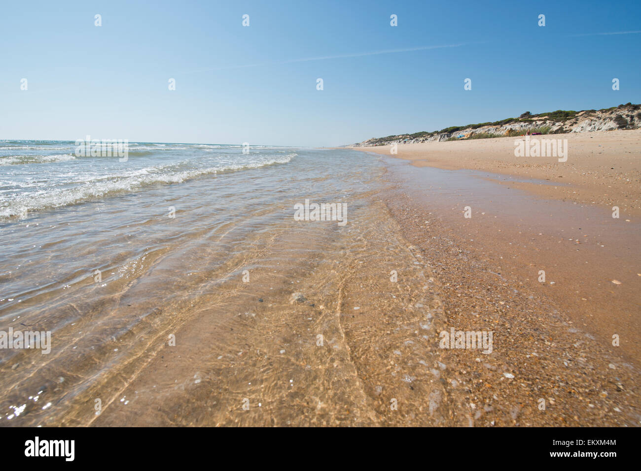 Seashore calm at Doñana beach Stock Photo - Alamy