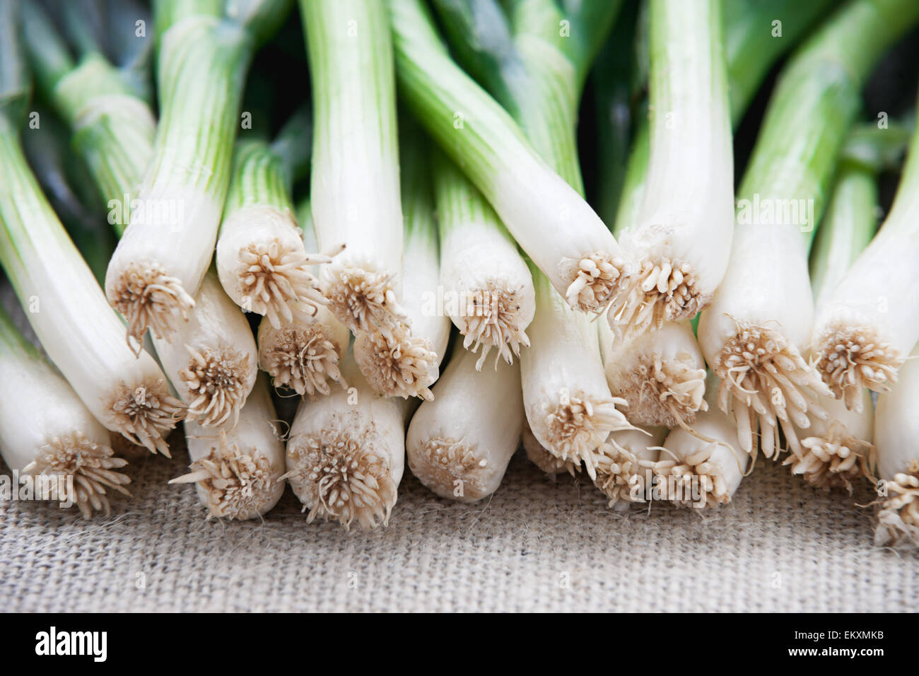 Good healths hi-res stock photography and images - Alamy