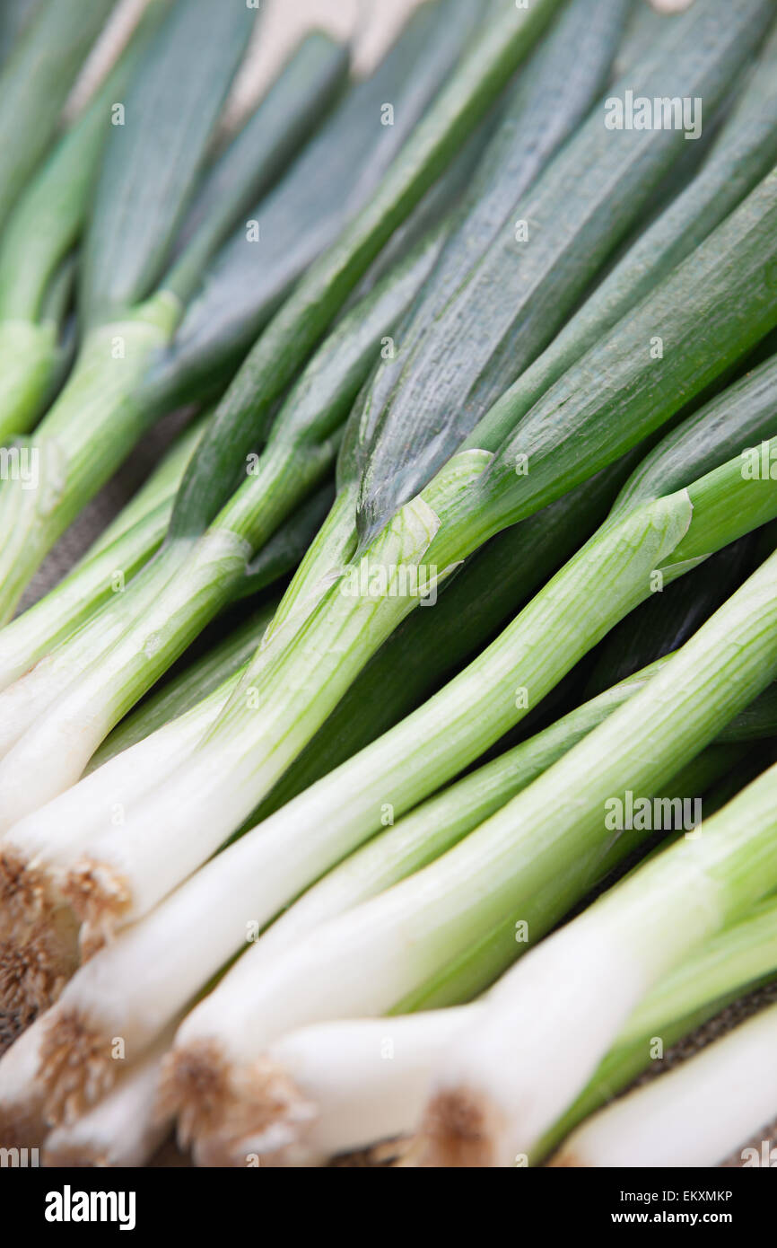 Spring _onion hi-res stock photography and images - Alamy