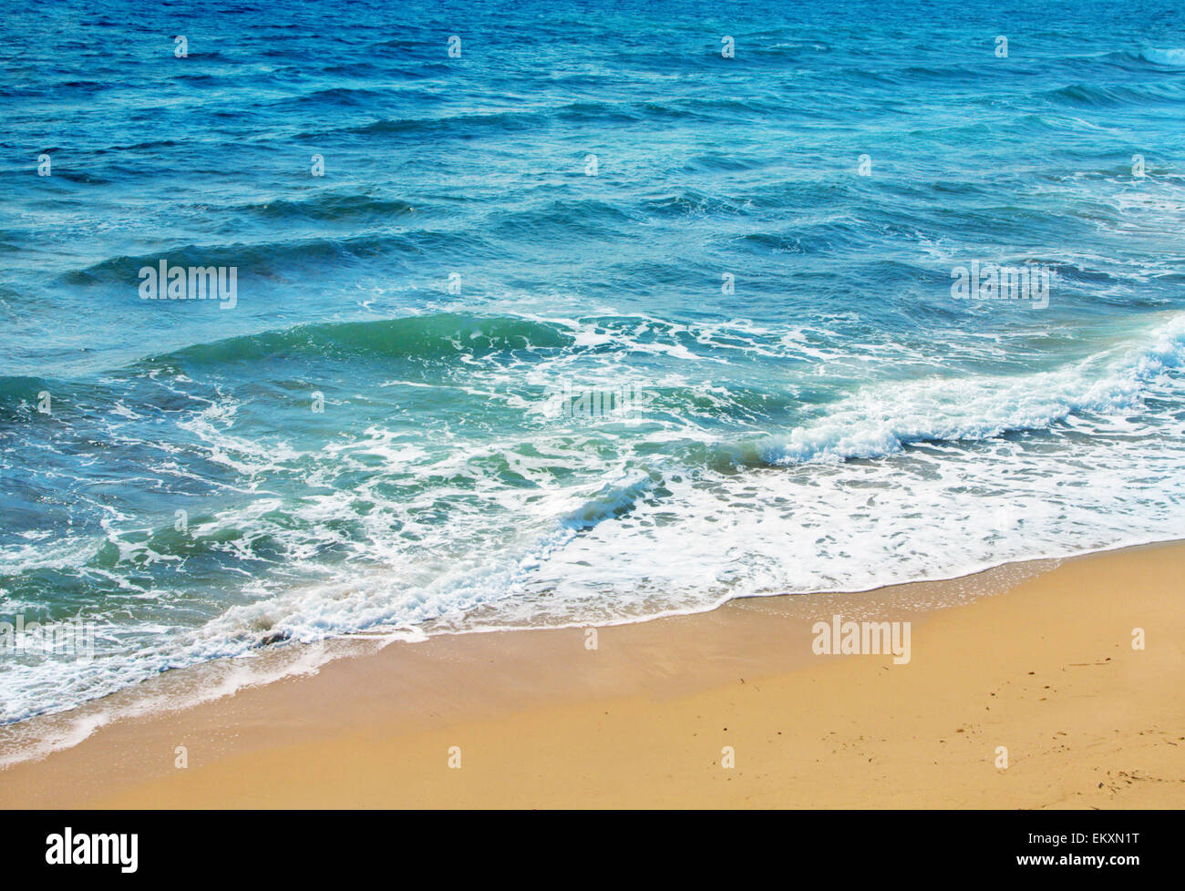 ocean wave and tropical beach Stock Photo - Alamy