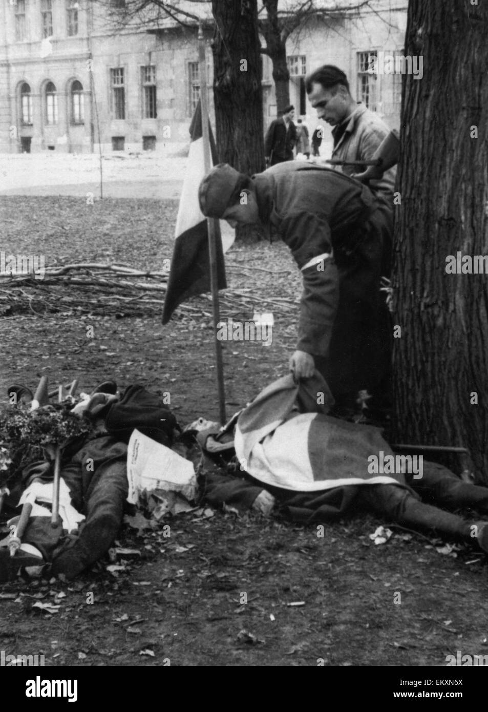 Fighter killed Black and White Stock Photos & Images - Alamy