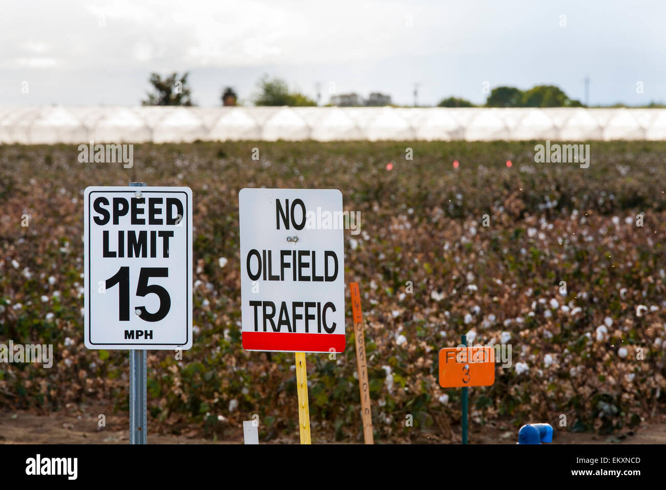 No Oilfield Traffic sign next to crop field. Shafter. Kern County ...