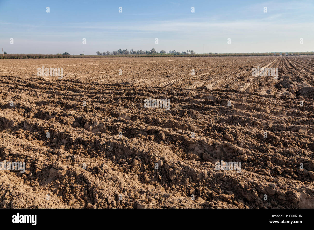 Drought crops hi-res stock photography and images - Alamy
