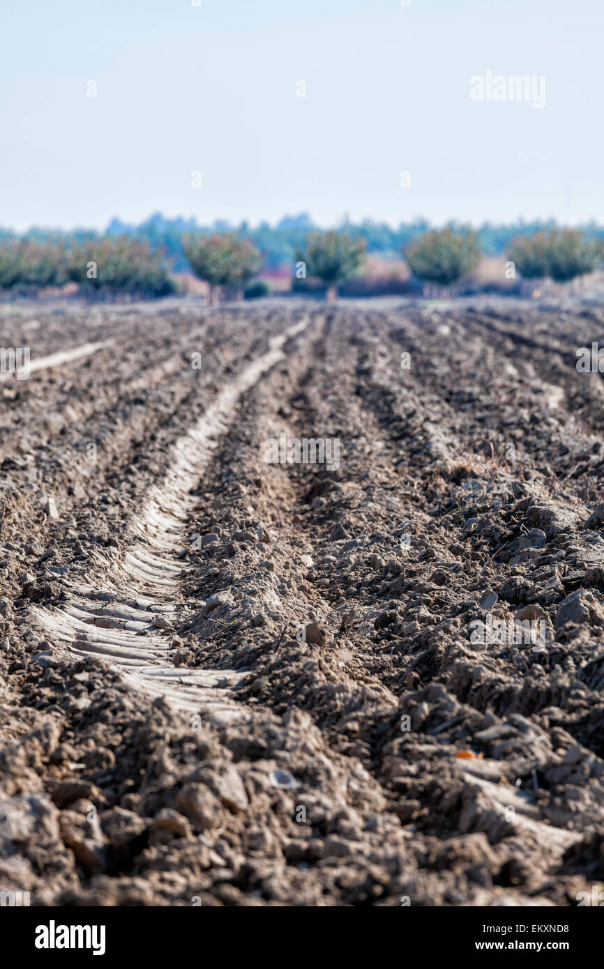 Unplanted fields hi-res stock photography and images - Alamy