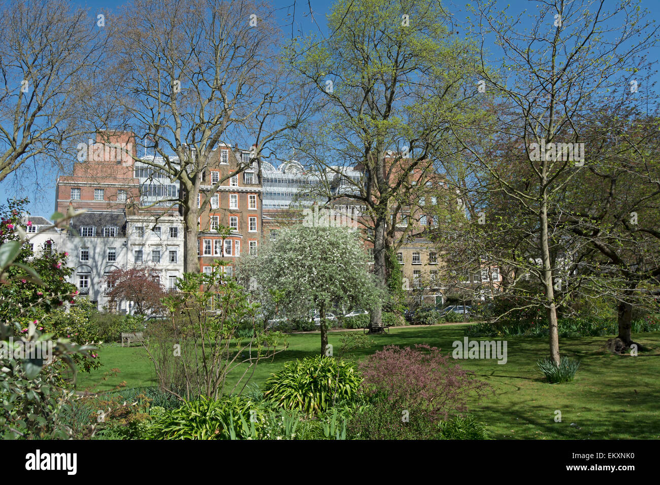 Kensington square london hi-res stock photography and images - Alamy