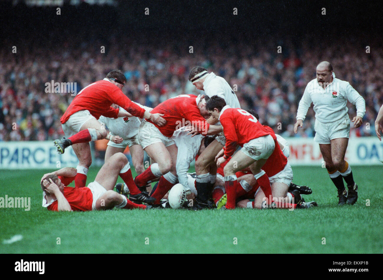 Cardiff arms park historical hi-res stock photography and images - Alamy
