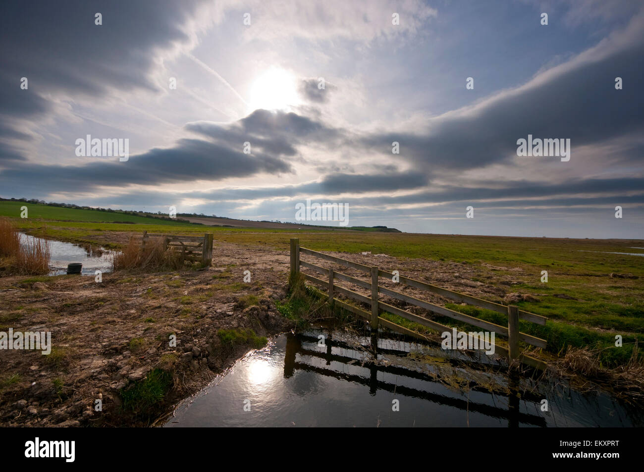 Salt marsh drainage ditch grazing marsh Nature reserve big sky Stock ...
