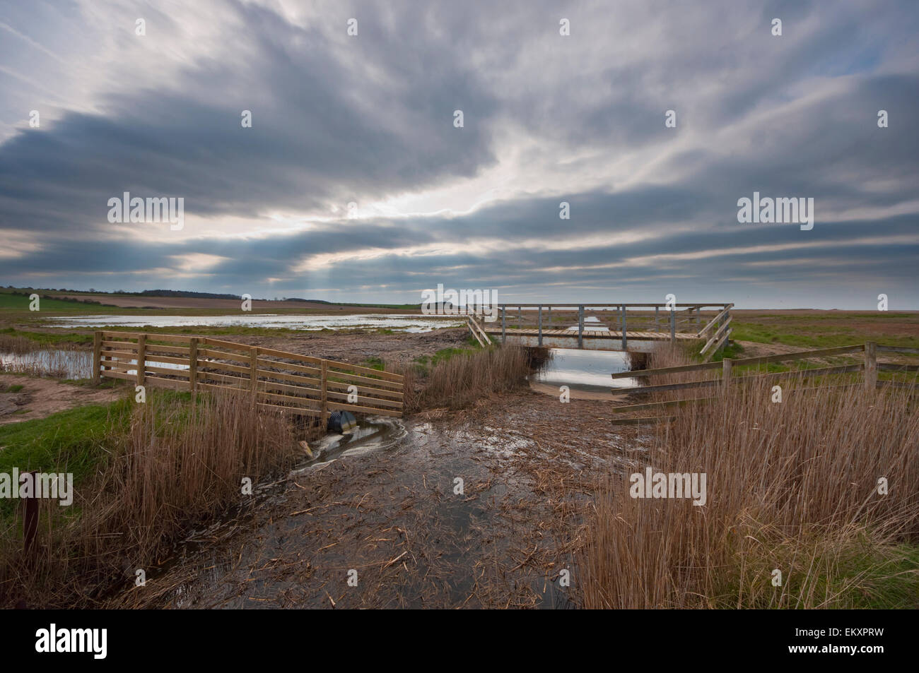Salt marsh drainage ditch grazing marsh Nature reserve big sky Stock ...