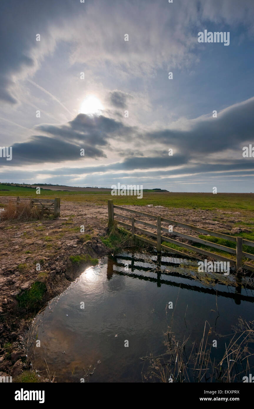 Salt marsh drainage ditch grazing marsh Nature reserve big sky Stock ...